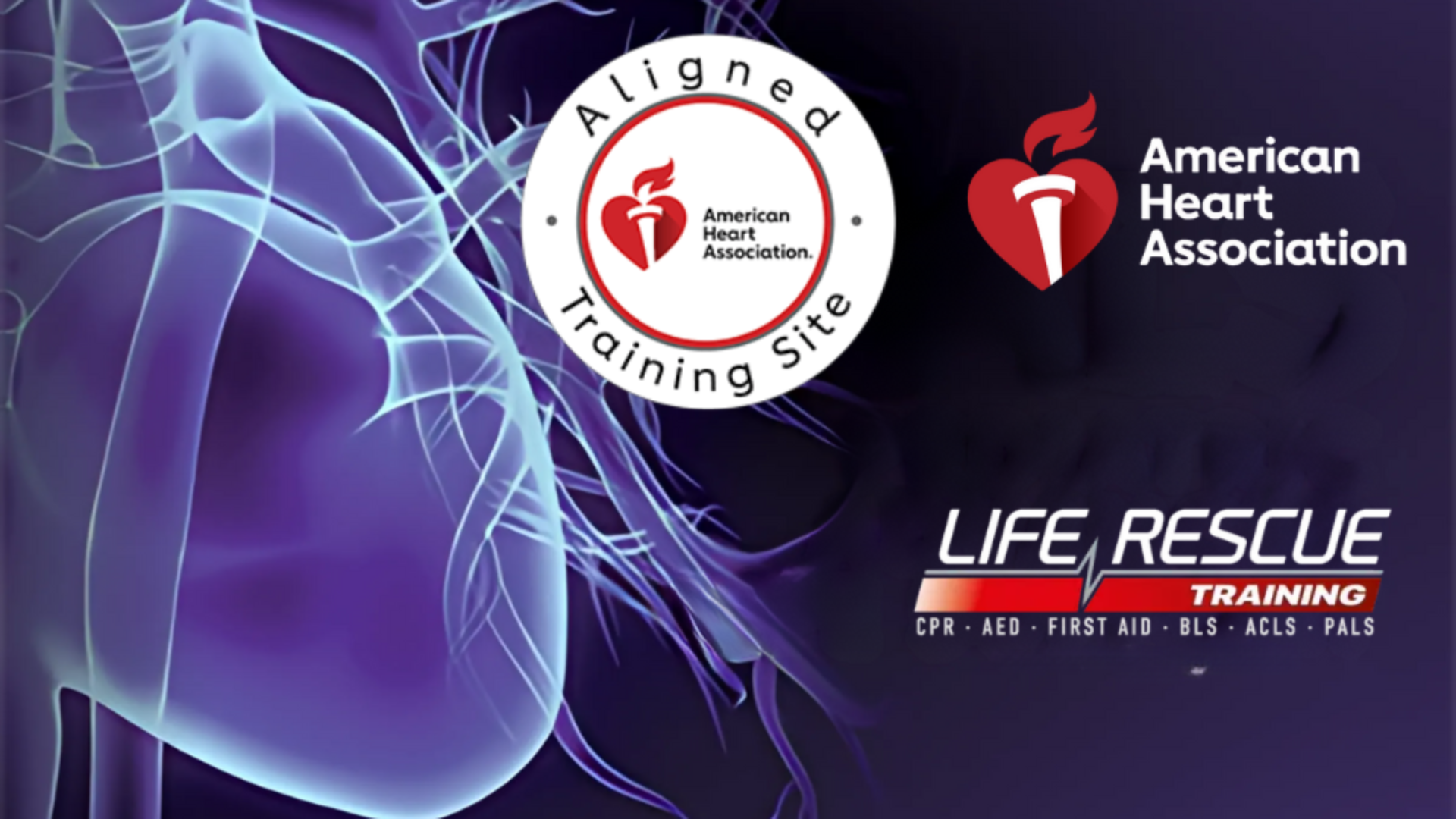 Our Partners – life-rescue-training